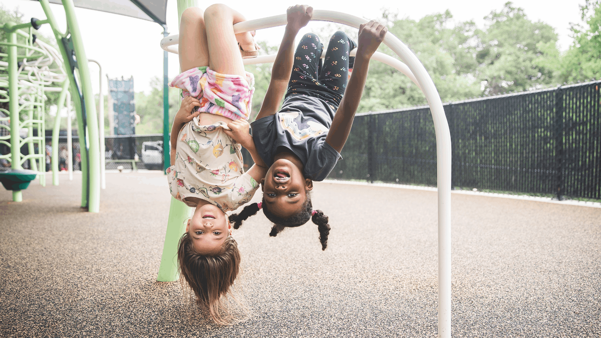 Upcoming Programs & Events | Alpha School